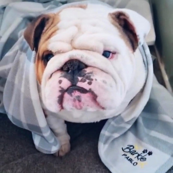 Barkle UK Dog Clothing and Accessories Website